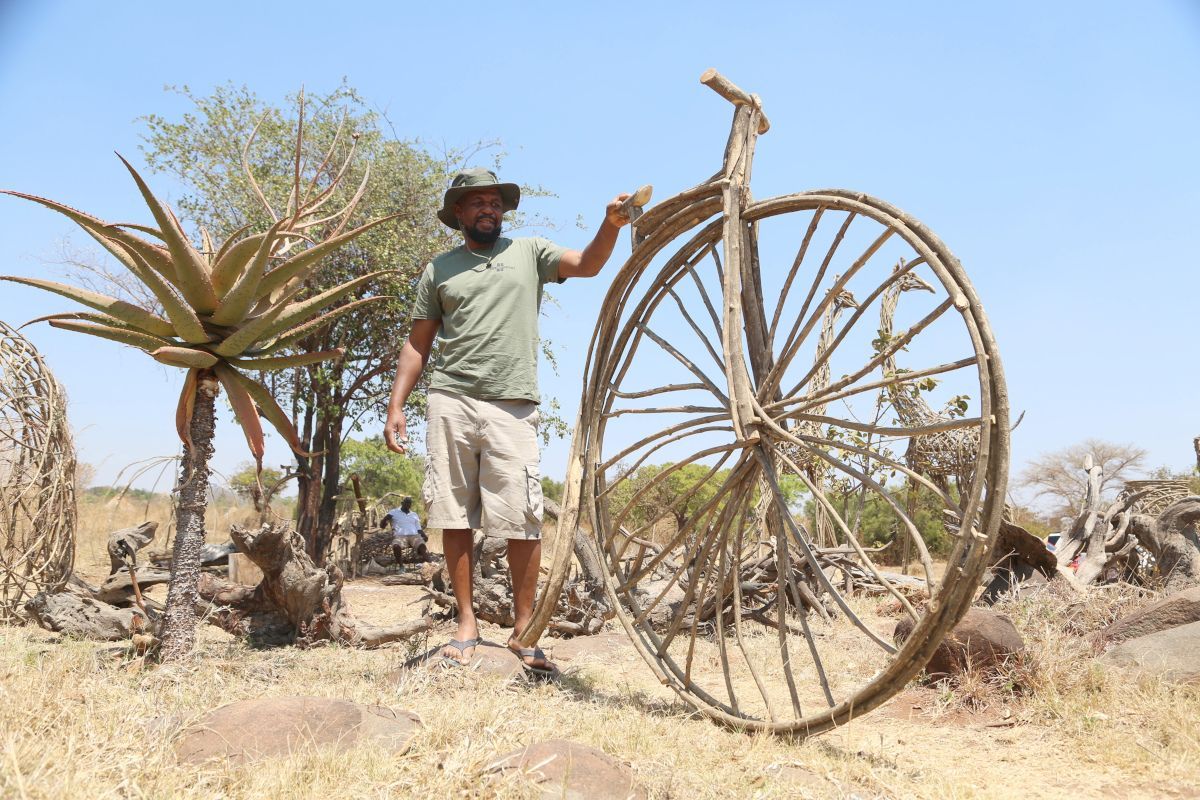 Artistas de Zimbabue transforman plantas exóticas invasoras en bestias ...