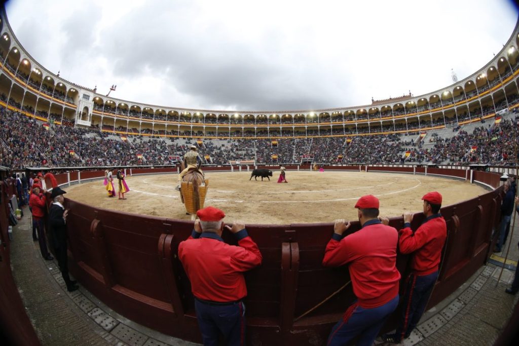 Toros - EFE Noticias