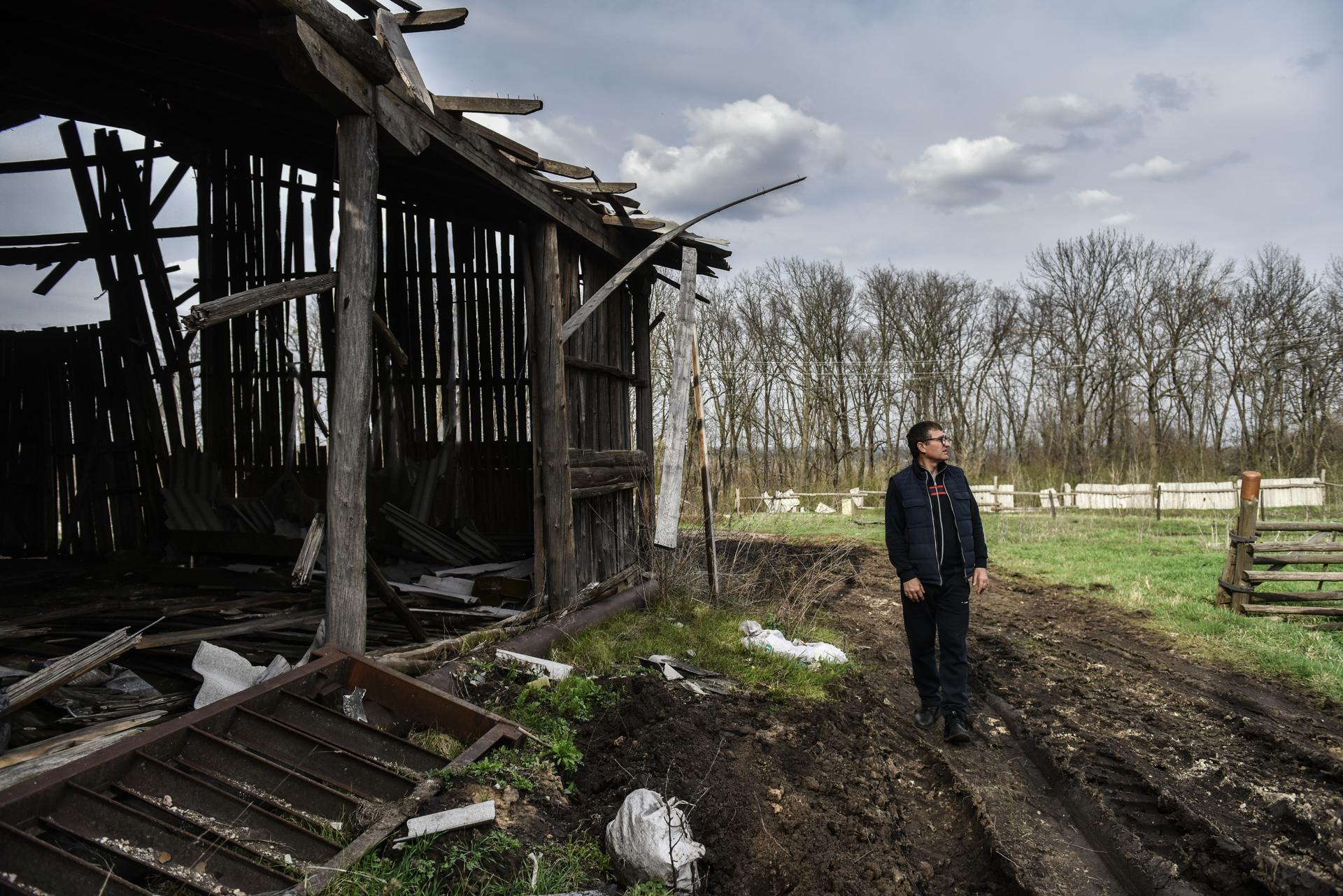 ‘Seeds for Ukraine’: supporting devastated regions with crops - EFE ...