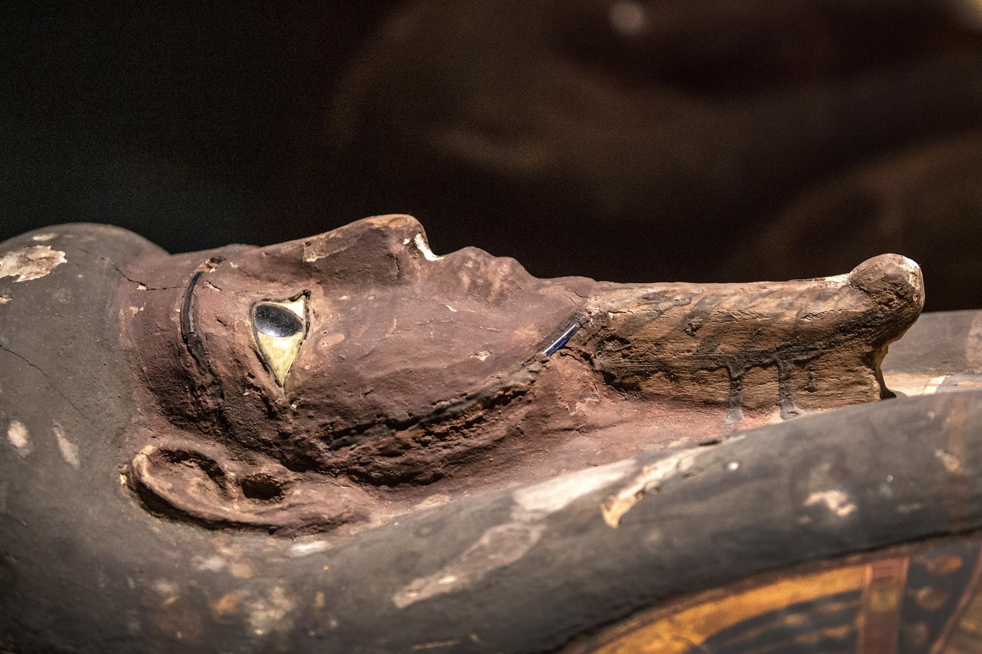 Secrets of world's mummies laid bare at Miami exposition - EFE Noticias