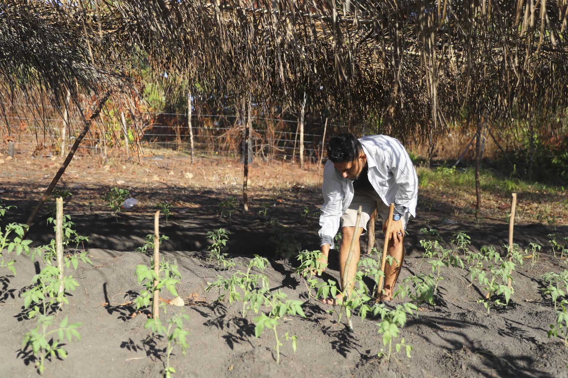 La Mosquitia mitigapobreza con agricultura ancestral en Honduras ...