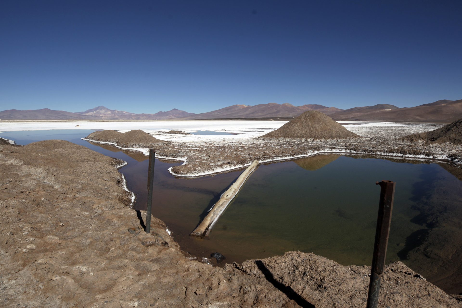 Salar de Maricunga: el agua es más valiosa que reserva de litio