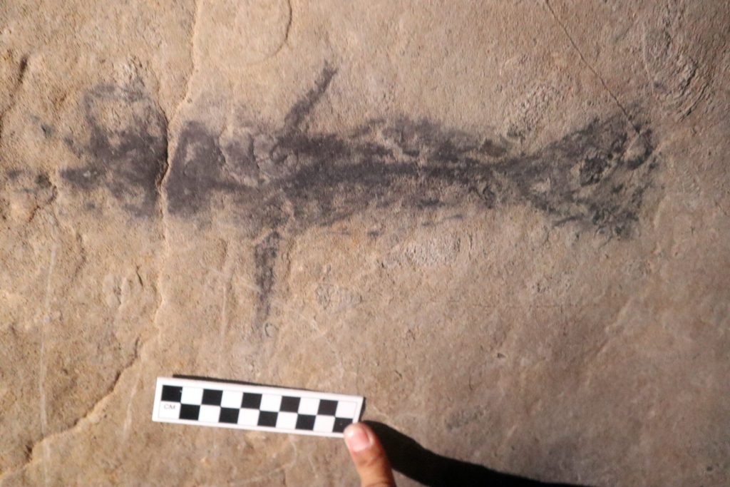 El arte rupestre de Puerto Rico es más antiguo de lo pensado