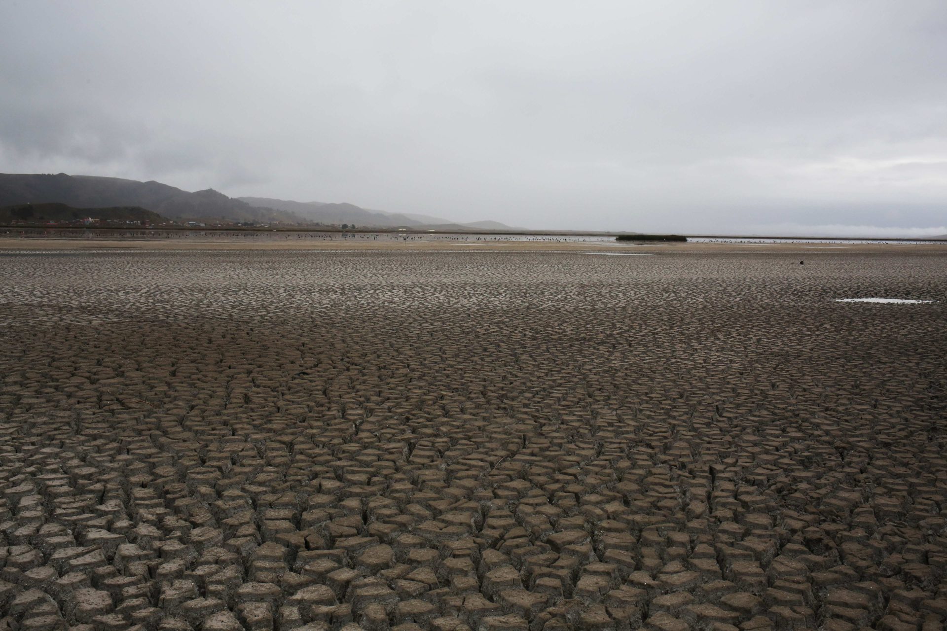 Pobladores del Titicaca ruegan que la lluvia mitigue la sequía