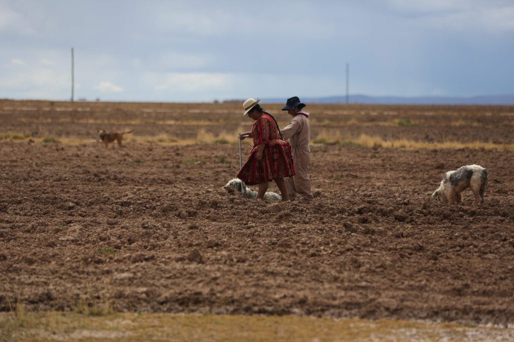 Trigidia Jiménez puso en alto el súper alimento ancestral de Bolivia