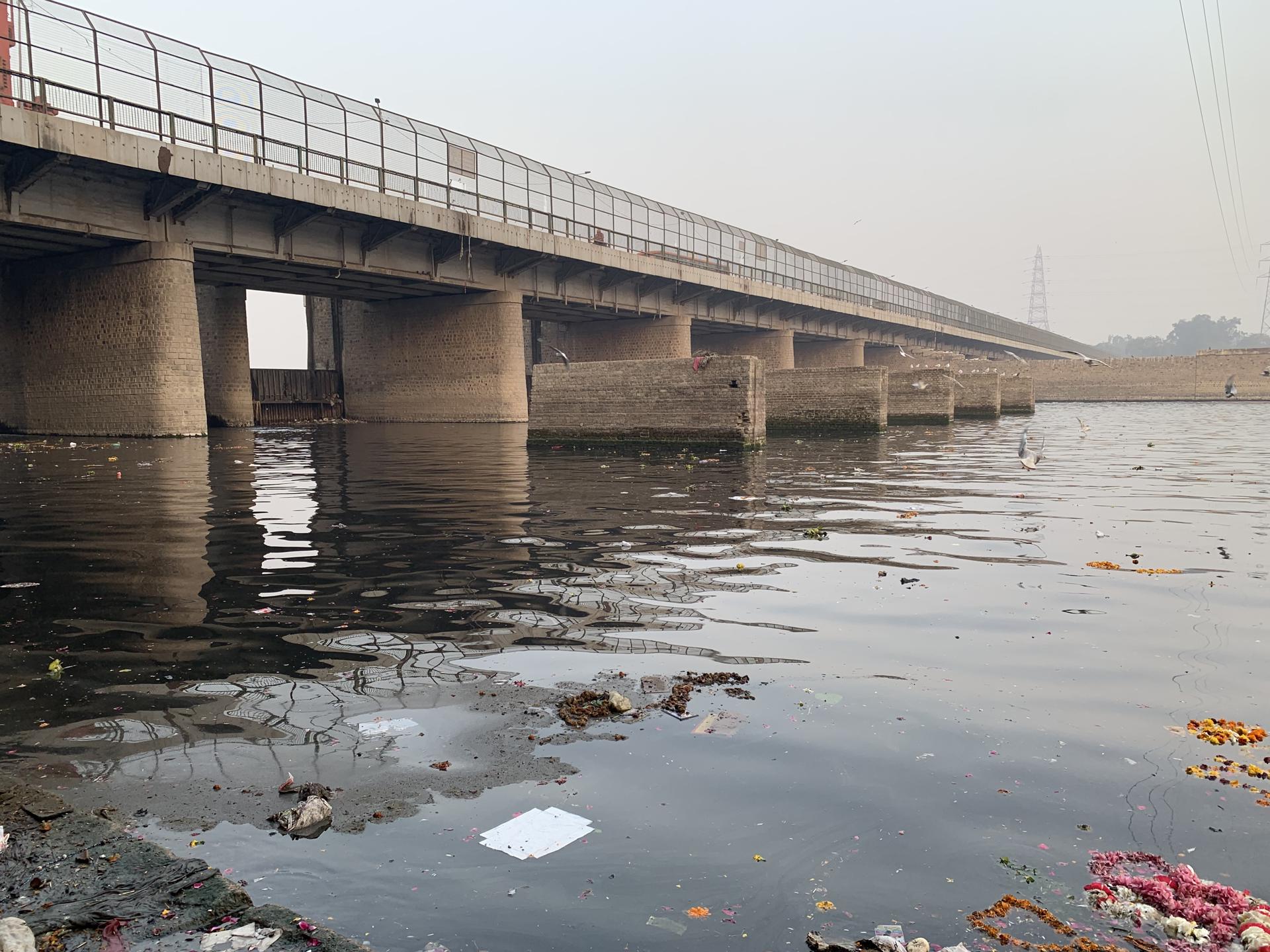 Indian capital's Yamuna river sees spike in ammonia contamination - EFE ...