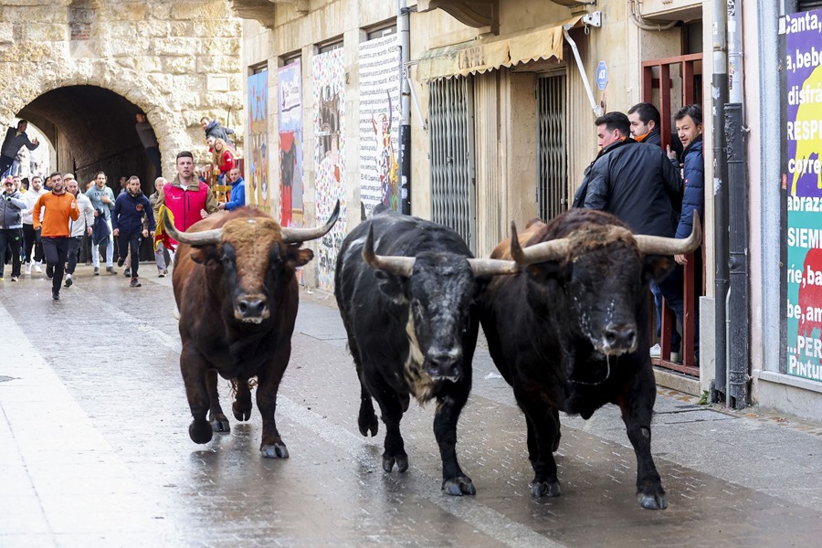 Toros - EFE Noticias