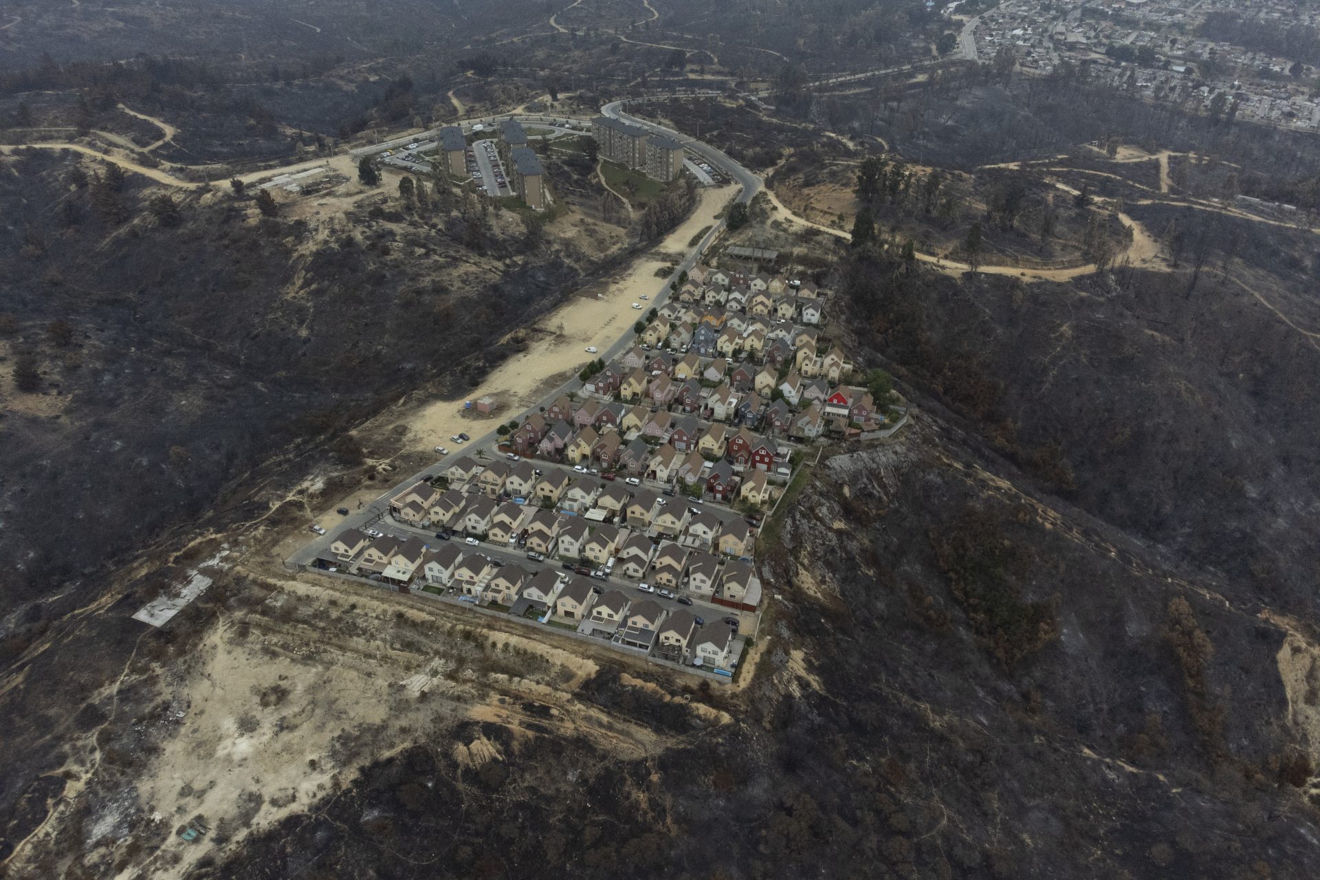 "Milagro" en Botania: vecinos salvaron su barrio del fuego en Chile