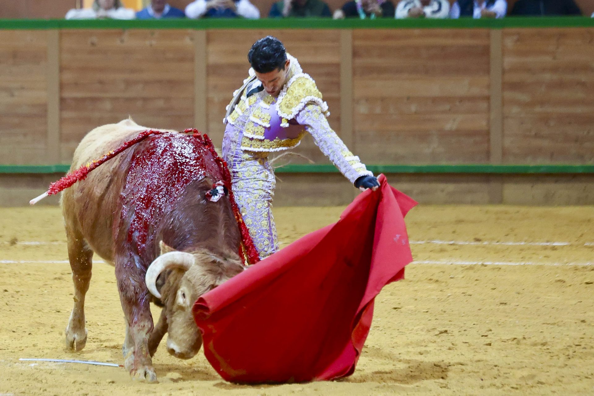 Solitaria oreja para Talavante en deslucido encierro de Alcurrucén