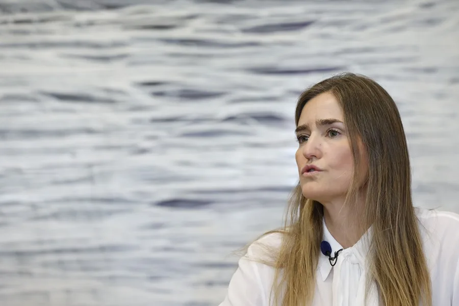 Aagesen: "Quien diga no al pacto de Estado se va a arrepentir"