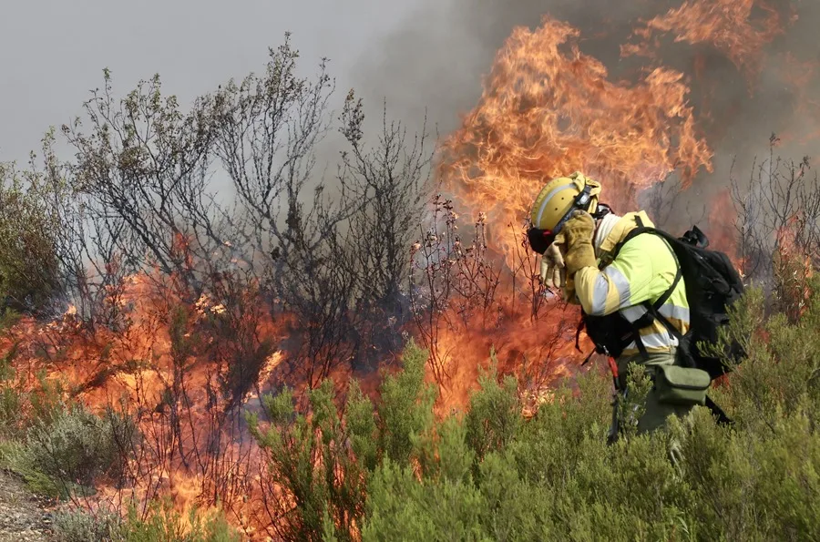 Significado de los niveles de incendio forestal