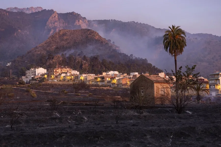 Estabilizado el incendio del parque regional de El Valle-Carrascoy en ...